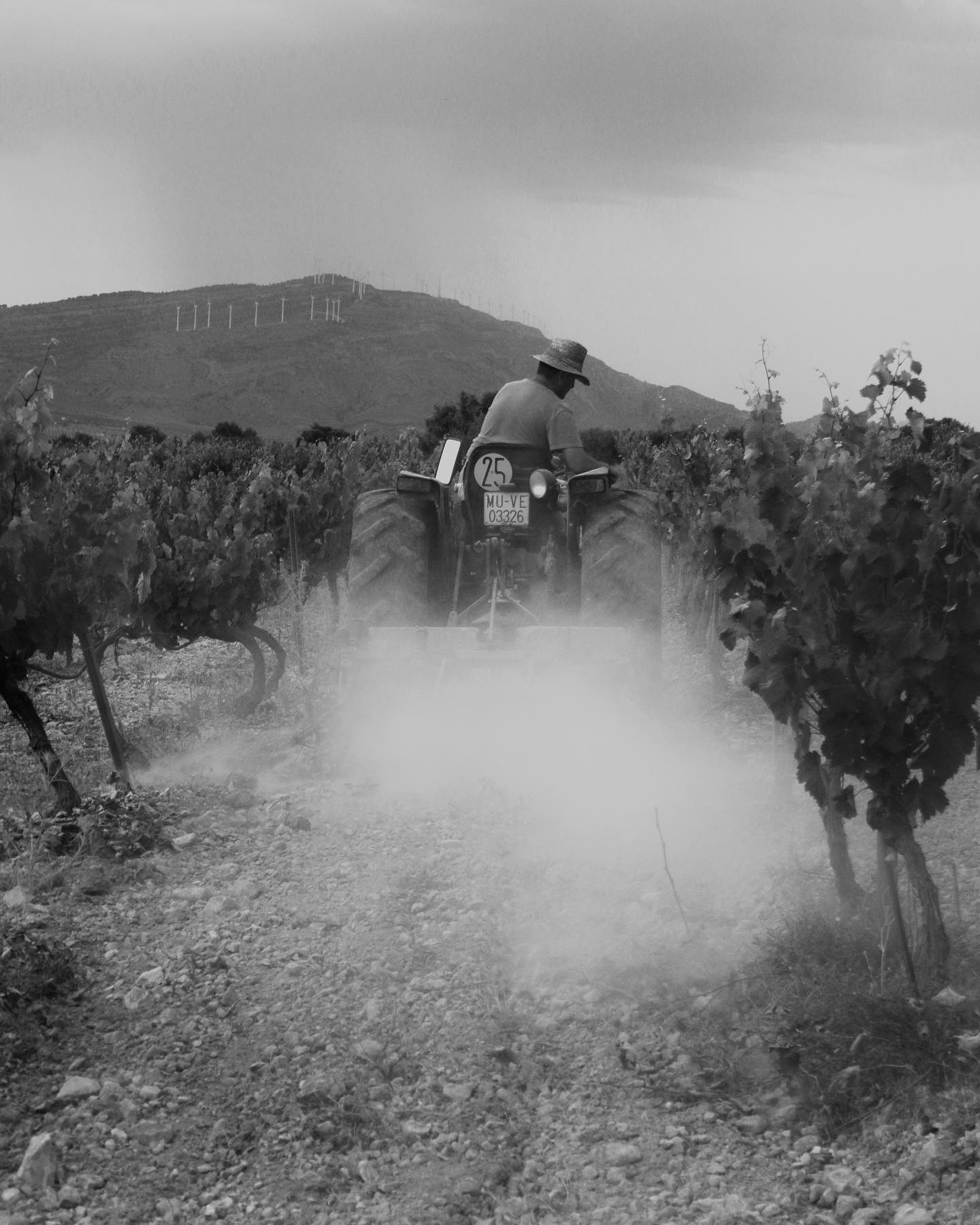 Vinos El Calvo Yecla | Great wines tell a story